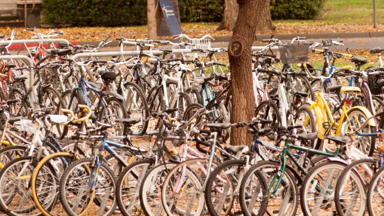 Bicycle Program | Transportation Services